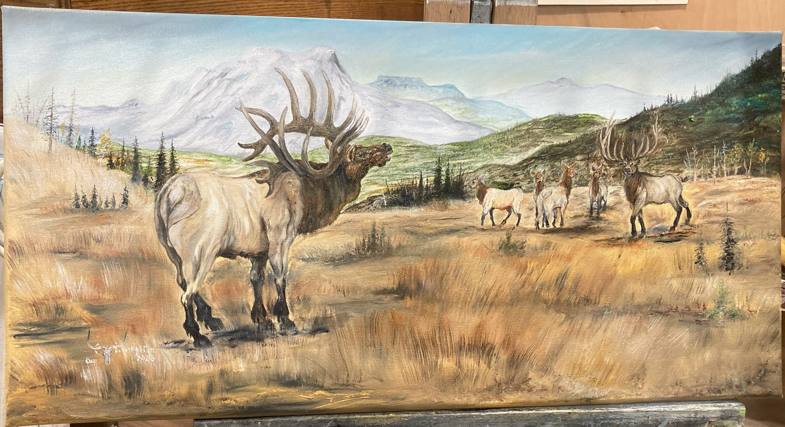 Elk Bull - Alaska Wilderness, Wildlife, and Western Art